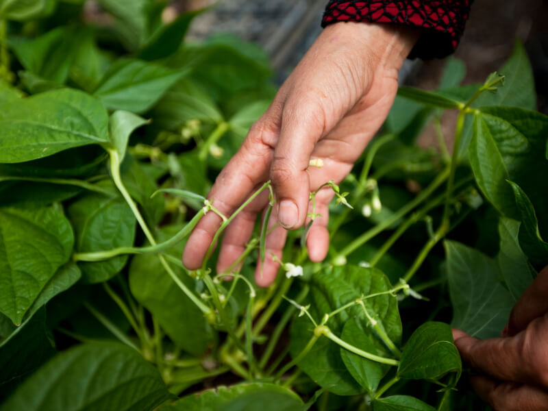 Financial access changes everything: Four lessons from Kiva’s $2.3 ...