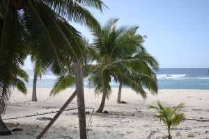 The Sundance Island: A Photo Essay of Samoa | Kiva