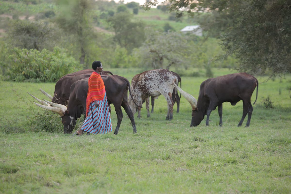 Scaling impact: How Kiva’s capacity building programs drive change | Kiva