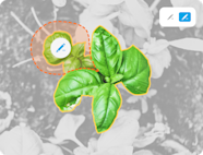 Image Annotation Labeling Tool Labelbox Image Annotation Labeling Tool Labelbox