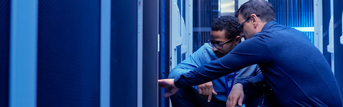 IT Project Services | Ricoh USA