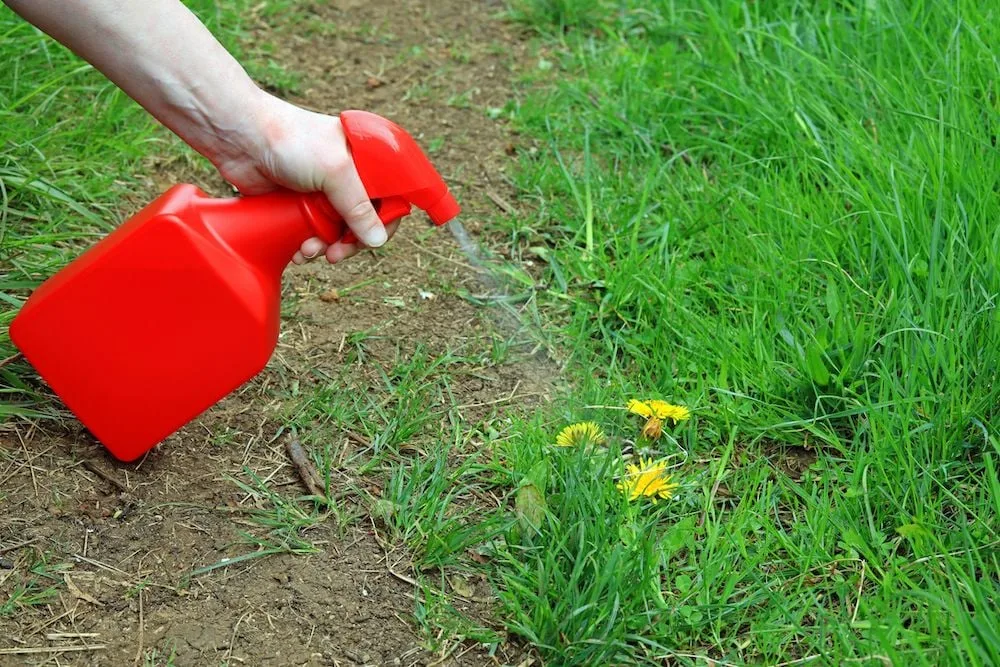 Diserbante selettivo: la guida completa