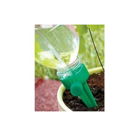 Regar Las Plantas Durante Las Vacaciones