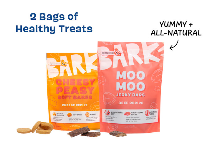 Nearly Indestructible Dog Toys Every Month | Super Chewer