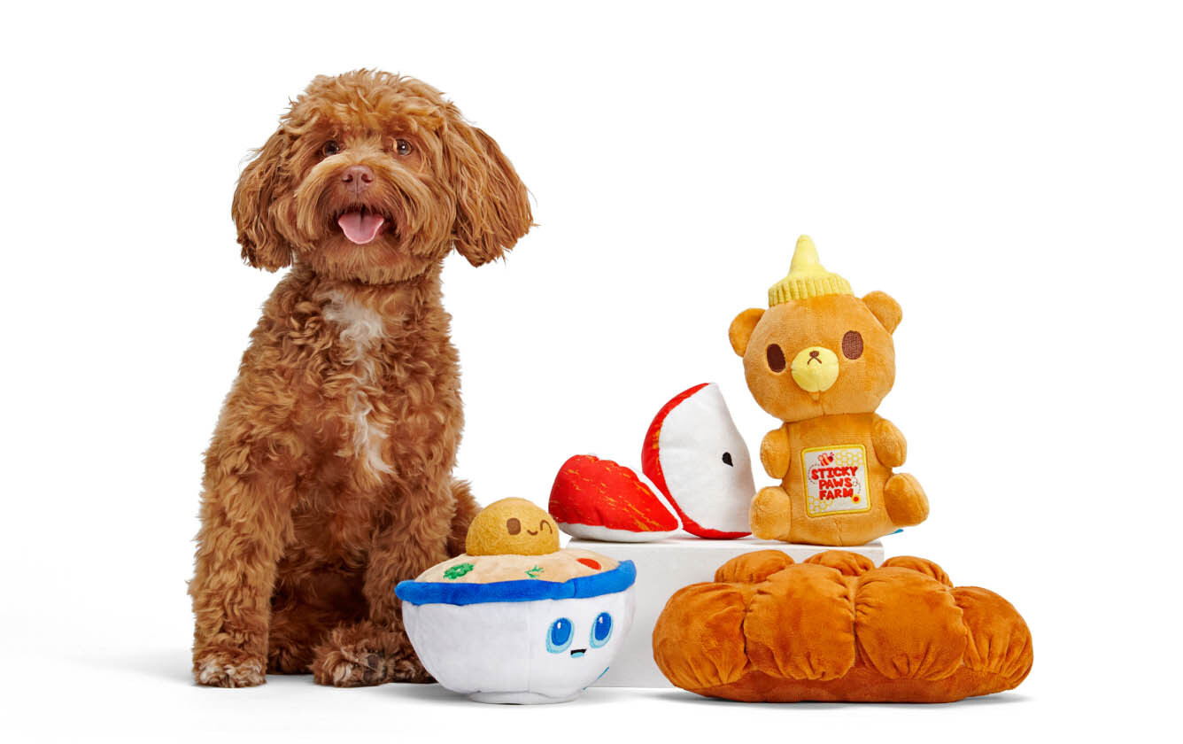 BarkBox - The Monthly Dog Toy and Treat Box