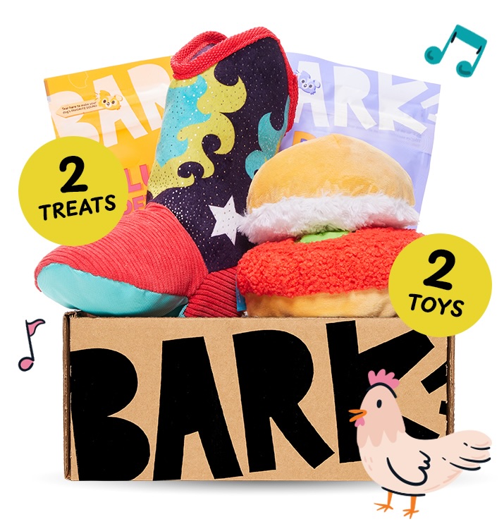 BarkBox - The Monthly Dog Toy and Treat Box