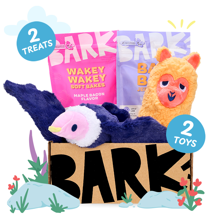 BarkBox - The Monthly Dog Toy and Treat Box
