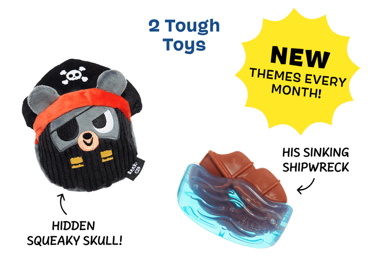 Nearly Indestructible Dog Toys Every Month | Super Chewer