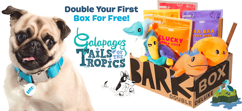 BarkBox - The Monthly Dog Toy and Treat Box
