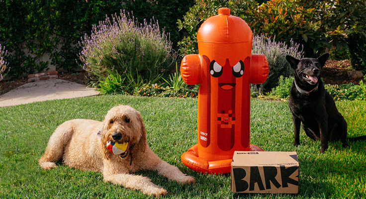 BarkBox - The Monthly Dog Toy and Treat Box