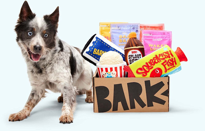 BarkBox - The Monthly Dog Toy and Treat Box