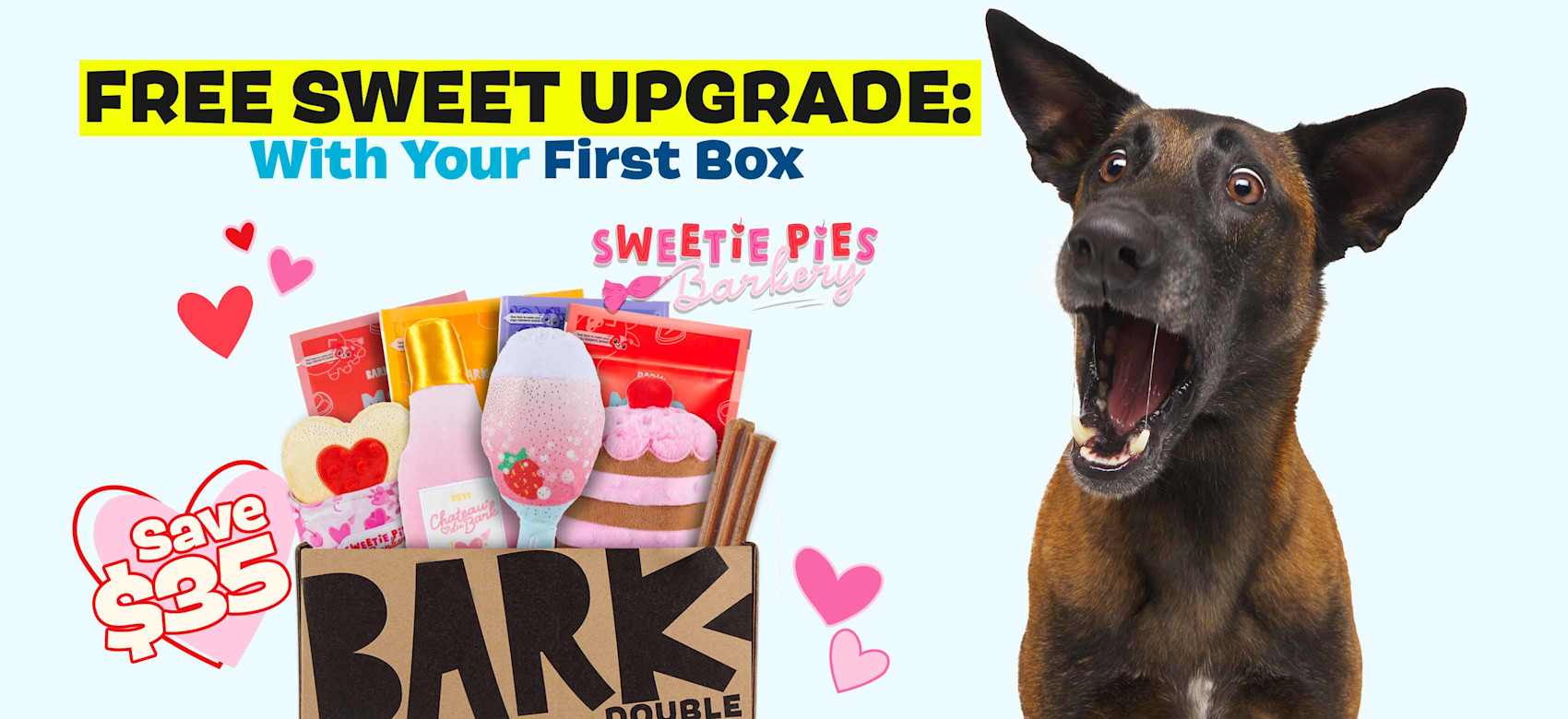 BarkBox - The Monthly Dog Toy and Treat Box