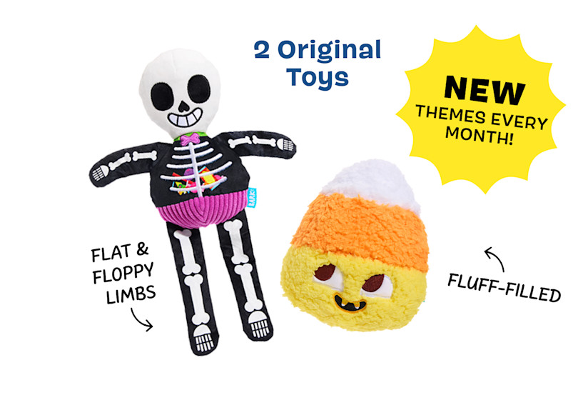BarkBox - The Monthly Dog Toy and Treat Box