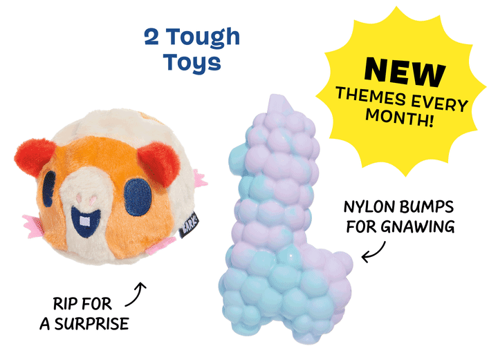 Nearly Indestructible Dog Toys Every Month | Super Chewer