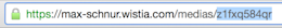 Embed Links Support Wistia