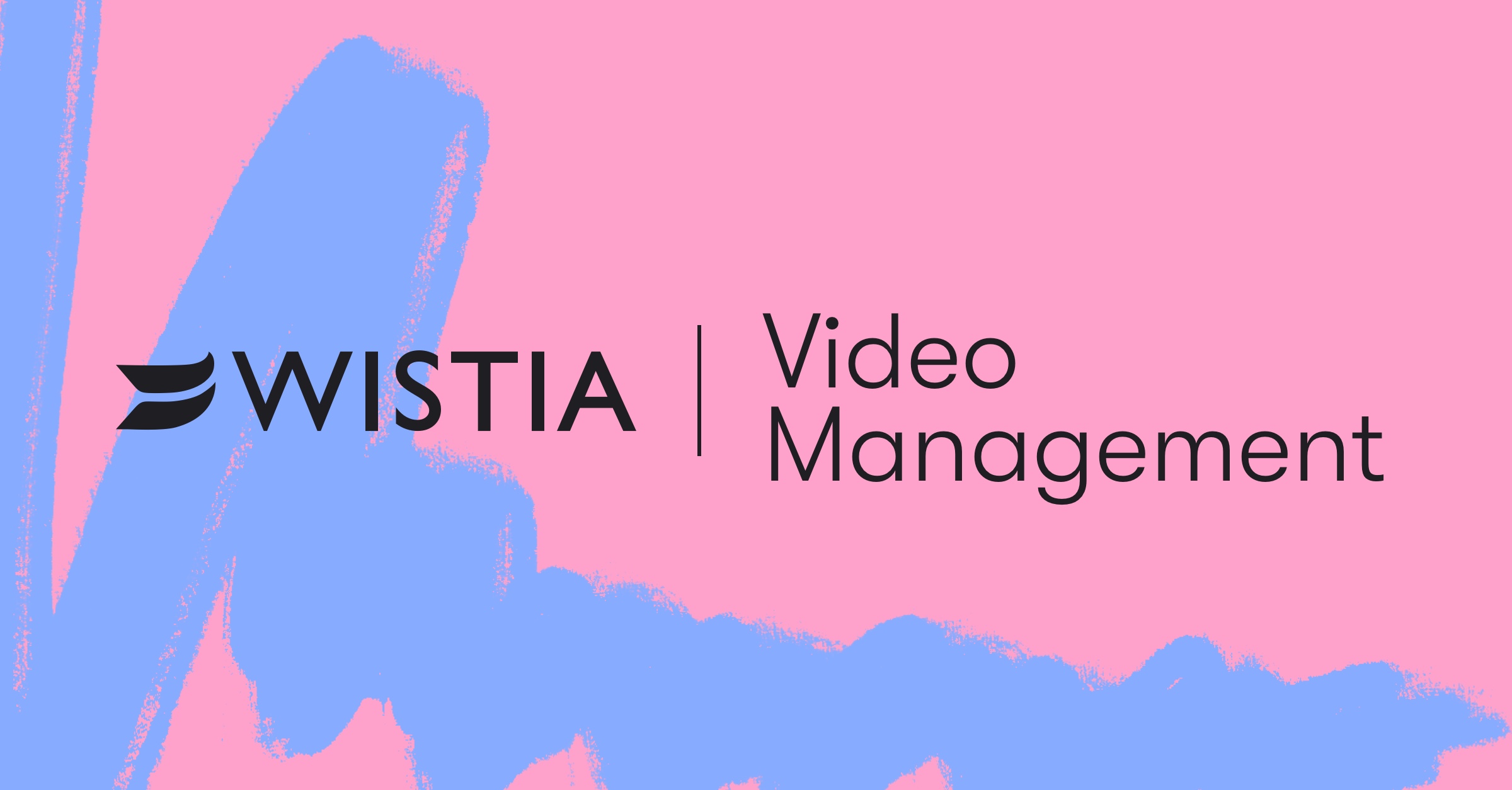 Video Storage and Content Management System - Wistia