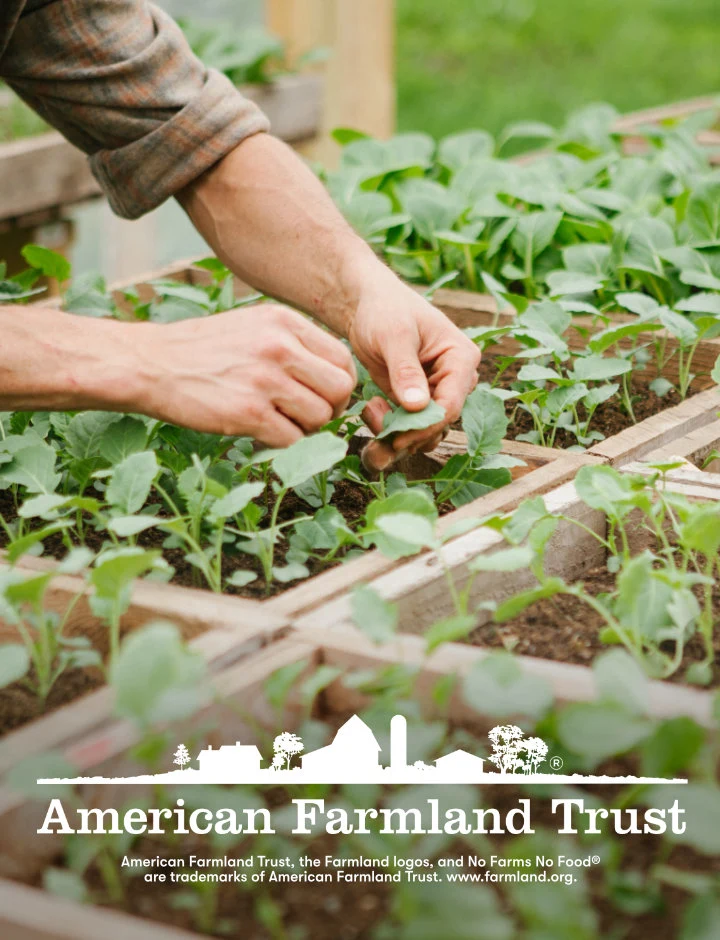 Thriving Farms - Tillamook