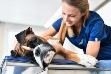 VetTrust Tierklinik Nesslau
