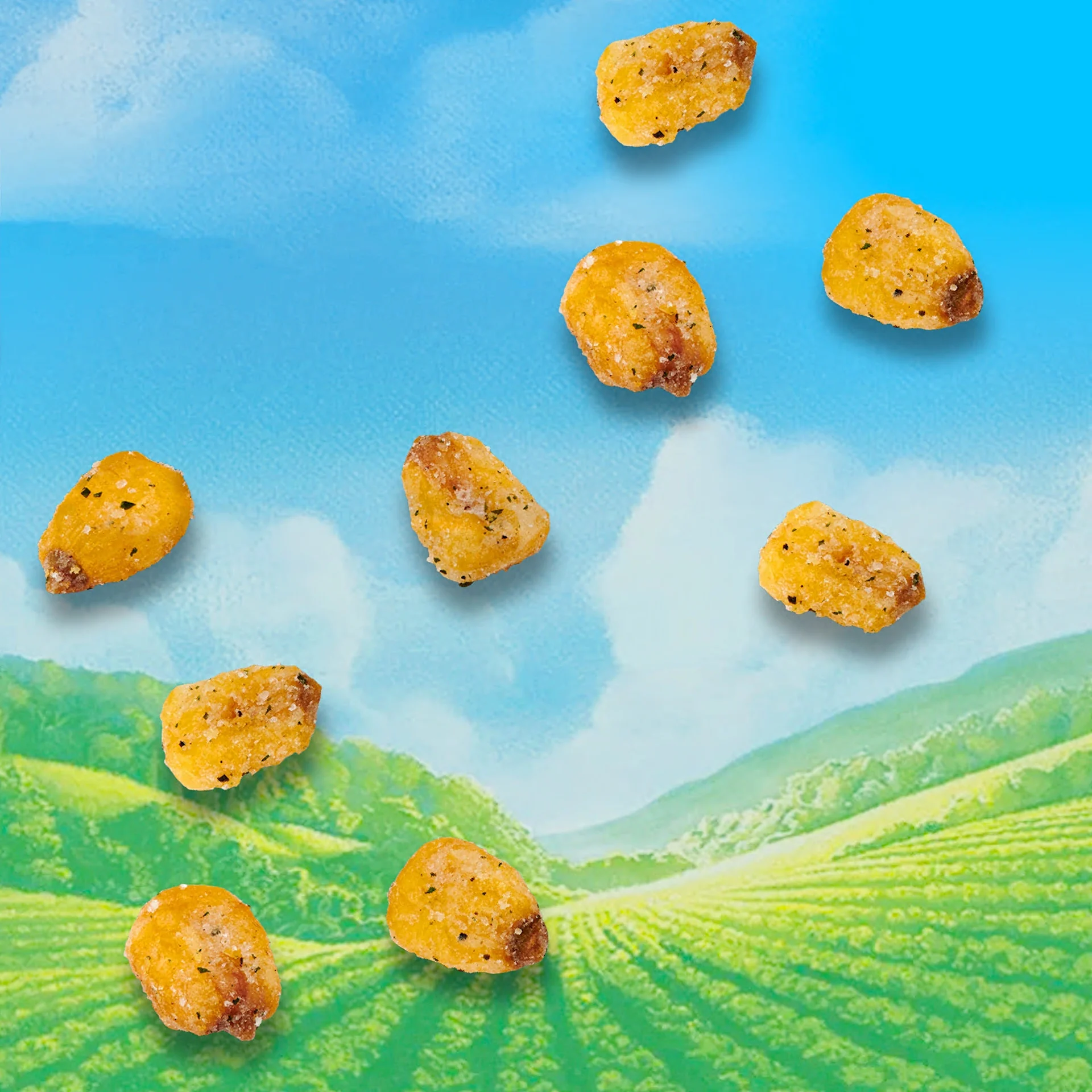 Snak Club® Toasted Corn with Hidden Valley® Ranch Seasoning | Hidden ...