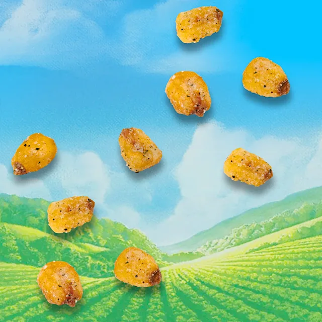 Snak Club® Toasted Corn with Hidden Valley® Ranch Seasoning | Hidden ...