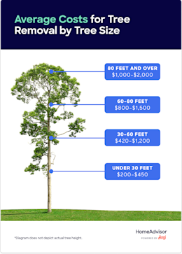 How Much Does It Cost To Cut Down A Tree 