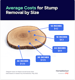  How Much Does Stump Removal Cost 