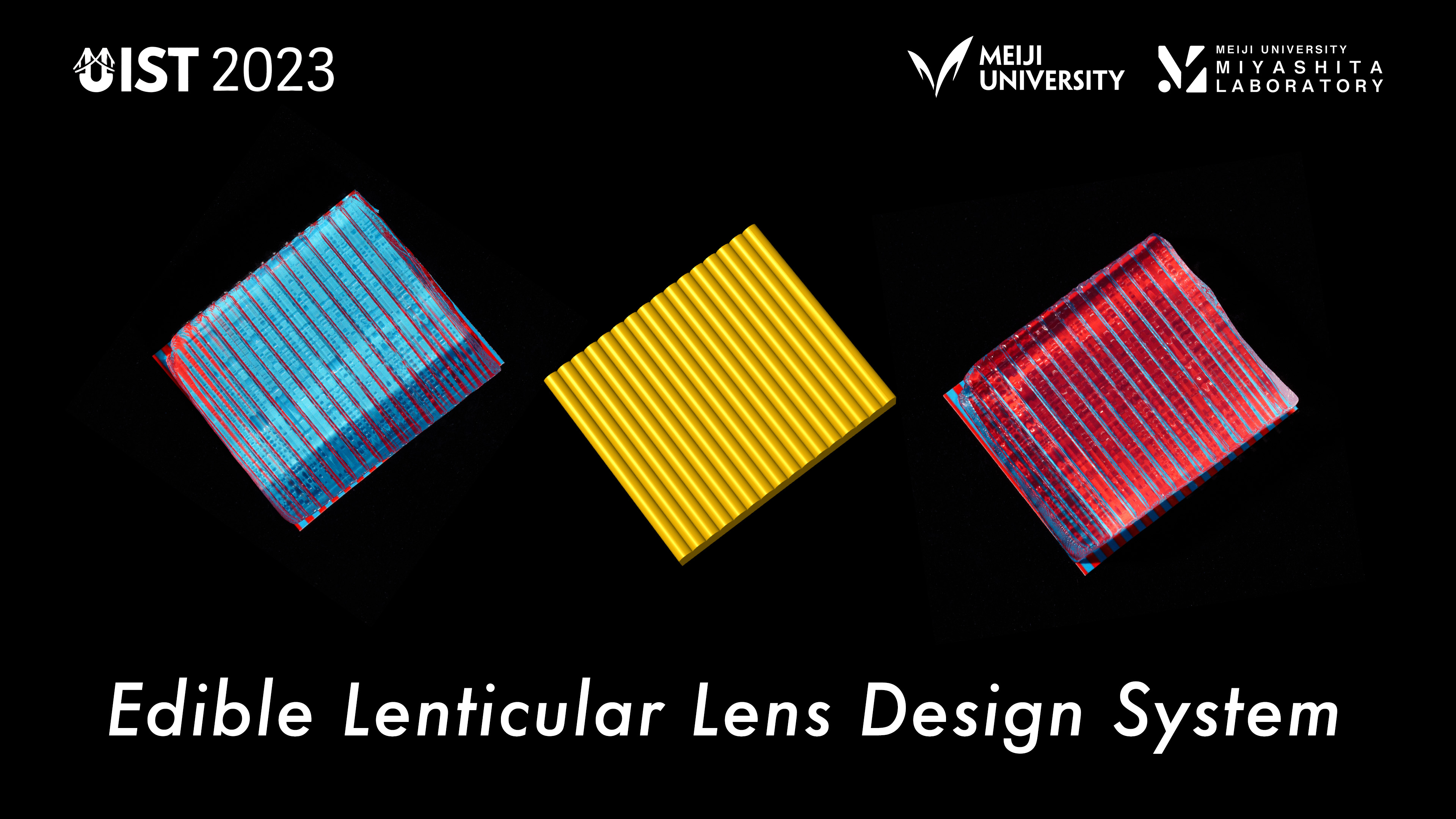 Edible Lenticular Lens Design System | 宮下研究室 - 明治大学 総合数理学部 先端メディアサイエンス学科