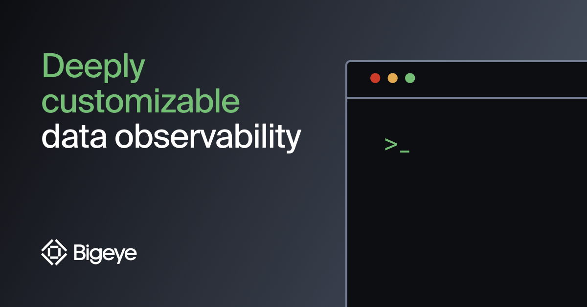 Developer Tools — Bigeye