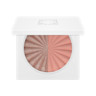 Chick Lit Blush Duo - OFRA Cosmetics
