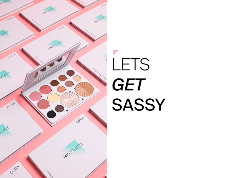 Sassy Pro Palette: A Full Face of Fierce Glam - OFRA Blog - Make Up ...