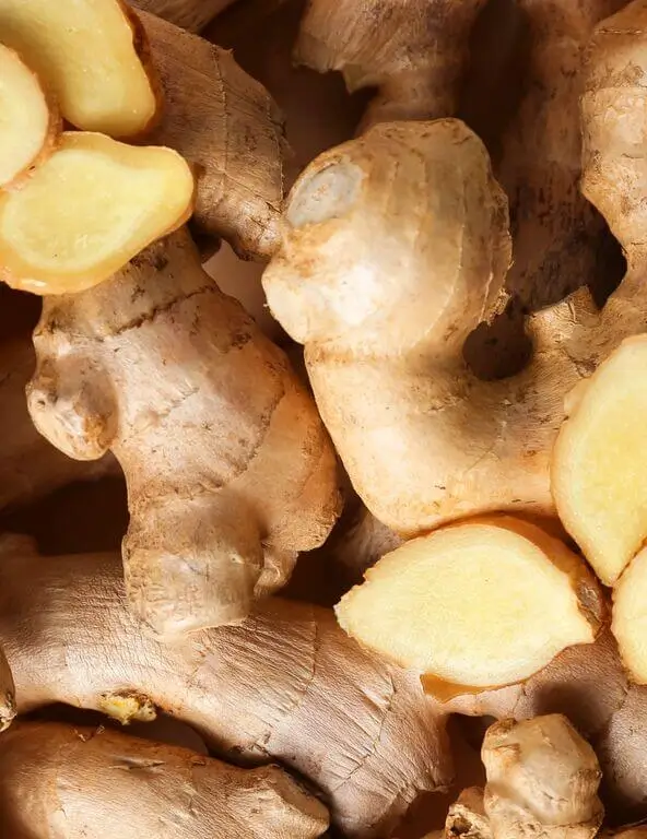 Pukka Three Ginger Herbal Tea: Warming Blend for Digestive Support