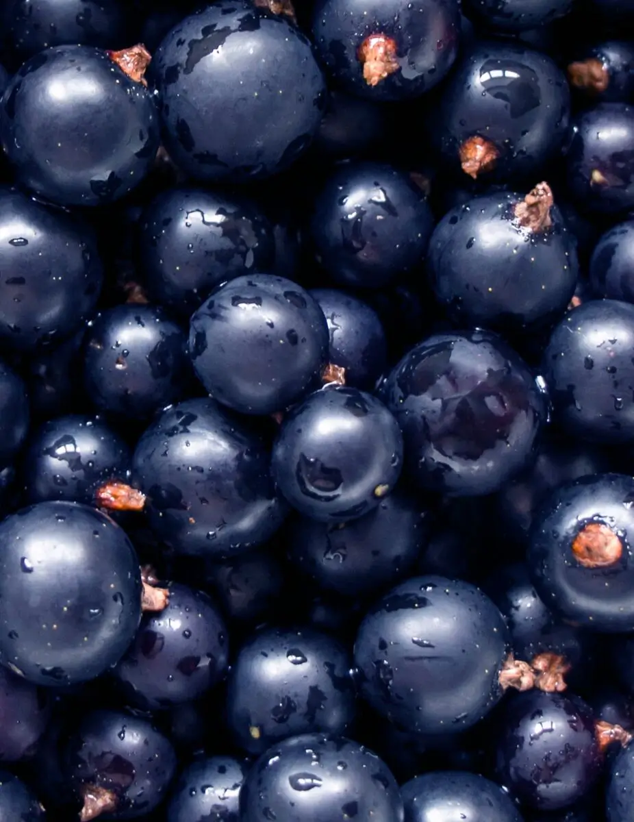 Pukka Morning Berry Herbal Tea: Energising Blend for a Vibrant Start