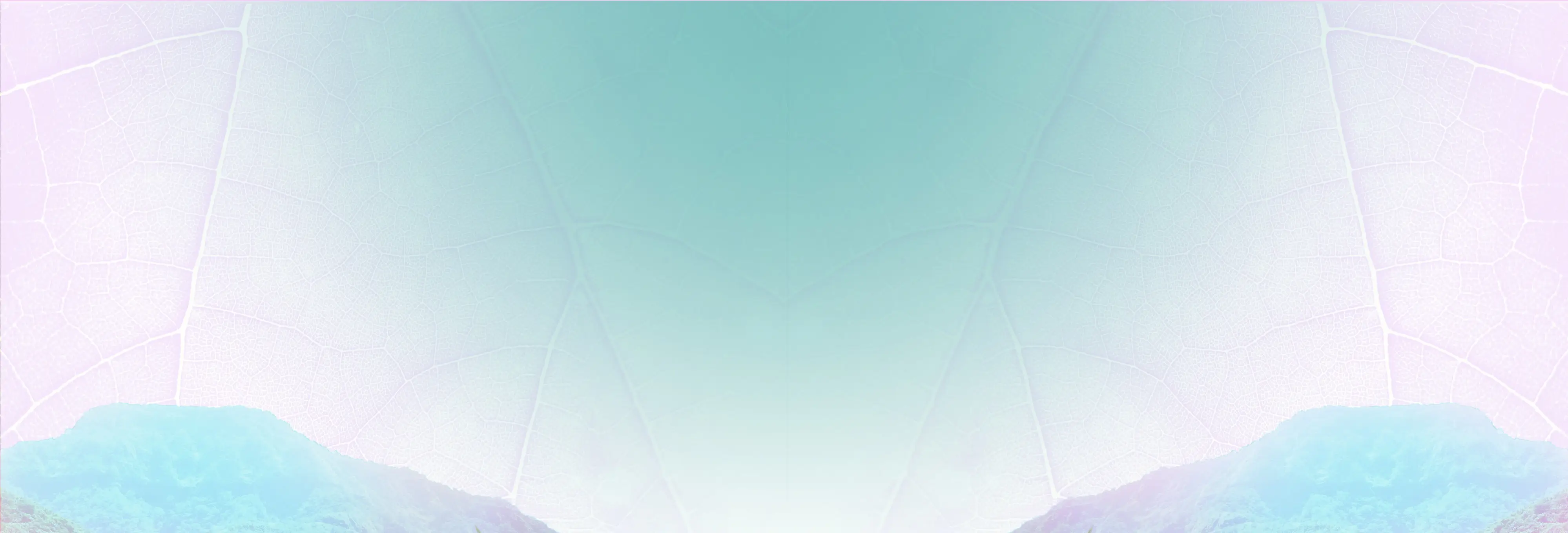 How Is Pukka Tea Made? | Where is Pukka Tea Made? | Pukka Herbs UK