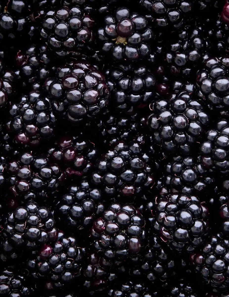 Pukka Morning Berry Herbal Tea: Energising Blend for a Vibrant Start