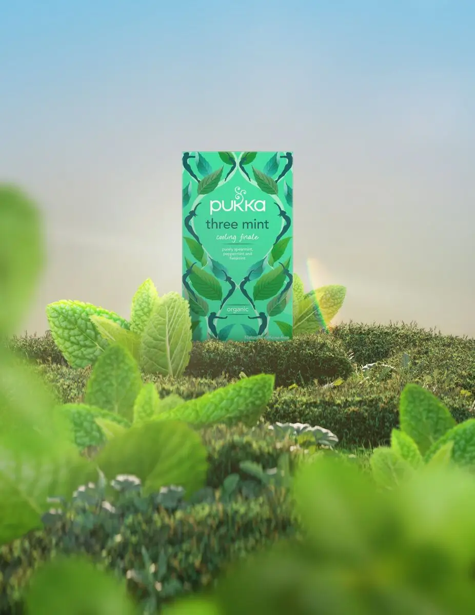 Pukka Three Mint Herbal Tea: Refreshing Blend for Post-Meal Relaxation
