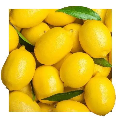 Pukka Lemon, Ginger & Manuka Honey Herbal Tea: Energising Blend for ...