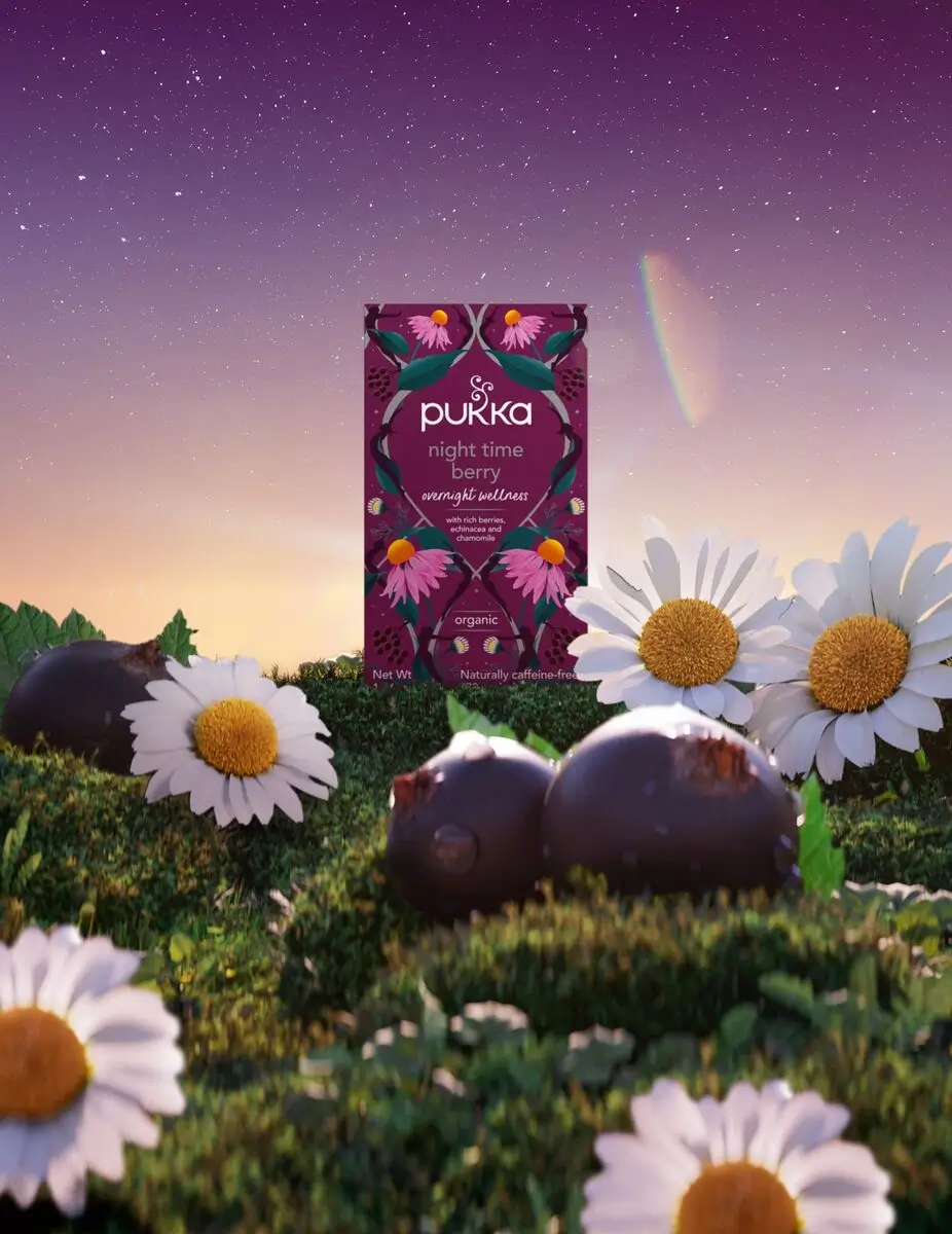 Pukka Night Time Berry Herbal Tea: Tranquil Blend of Chamomile ...