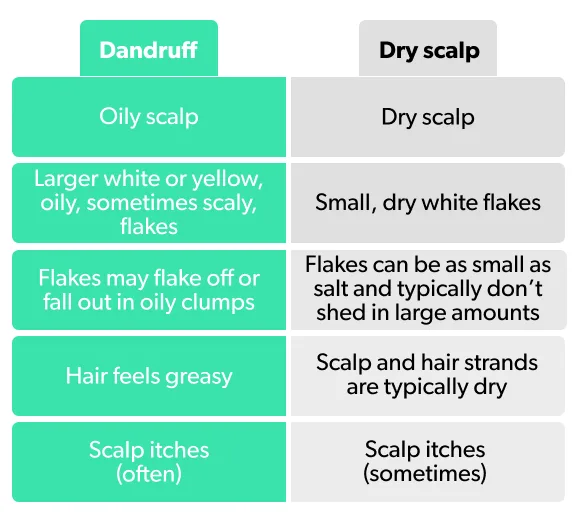 large dandruff flakes causes