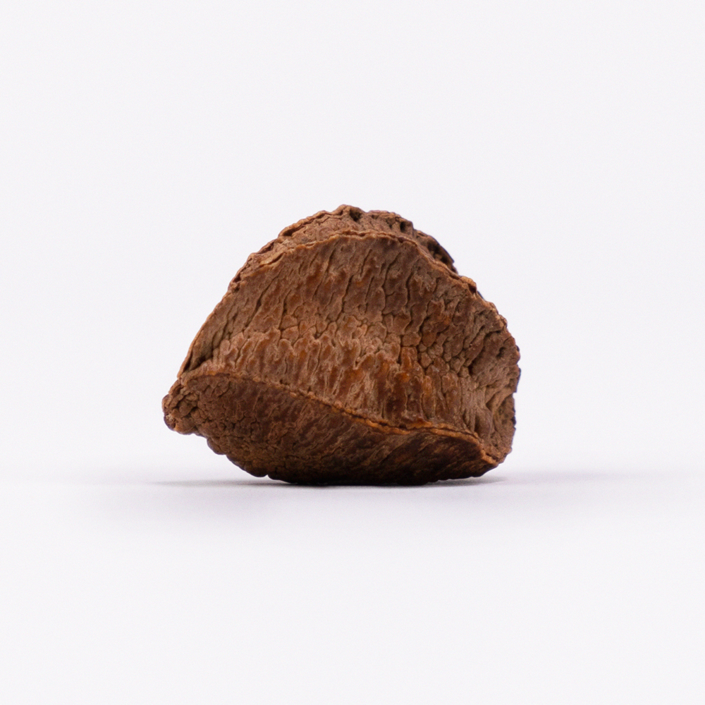 10 Foods High in Selenium | Ro