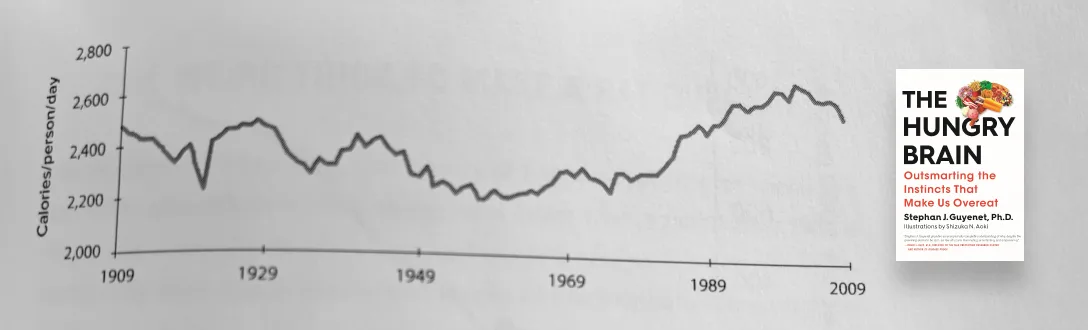 Obesity: An Accusation Audit