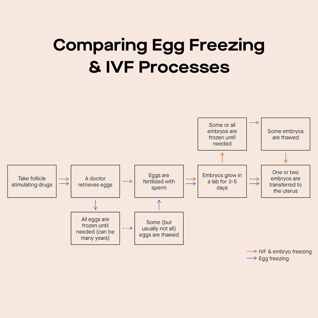 Egg Freezing: Costs, Process, and Ovarian Reserve Testing | Ro