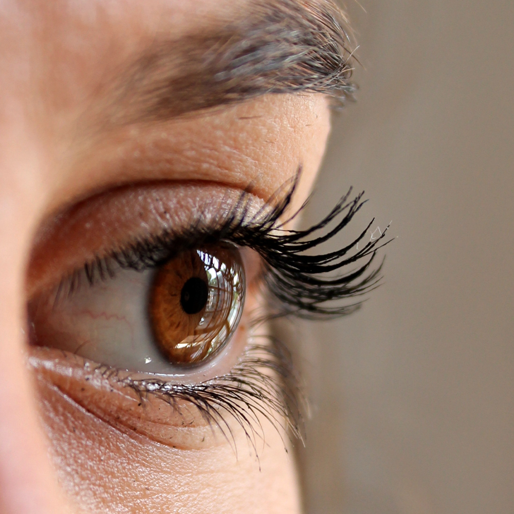 Do Eyelashes Grow Back? | Ro