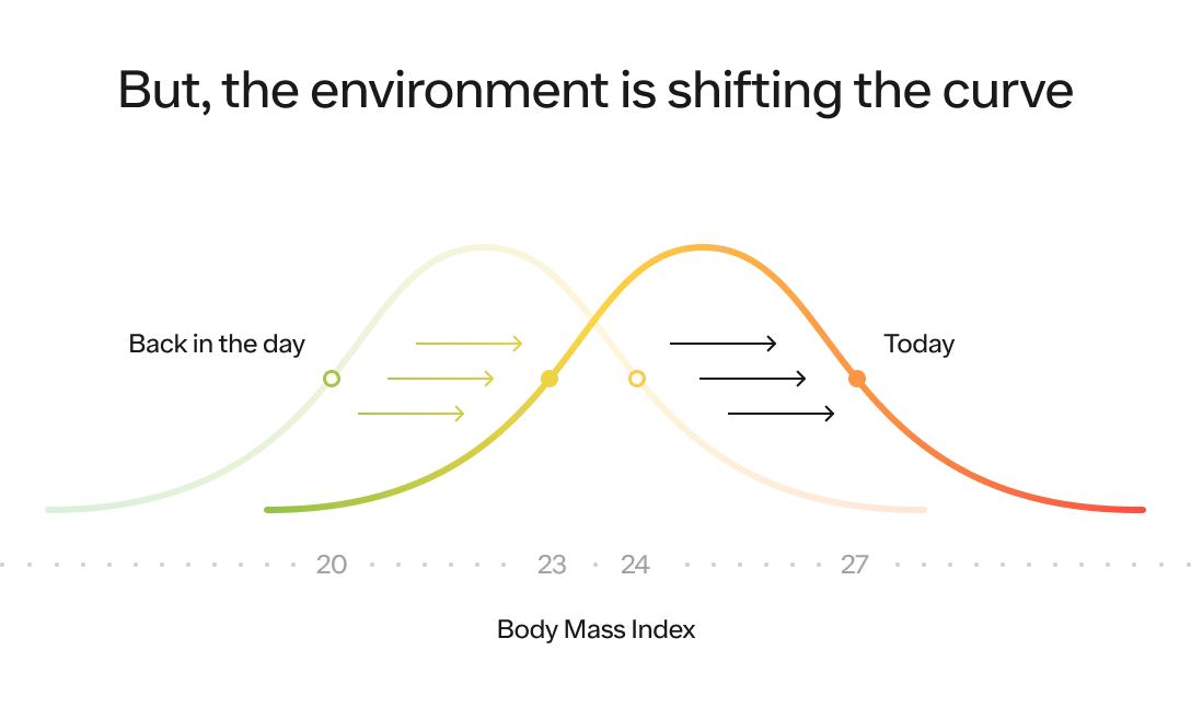 Obesity: An Accusation Audit