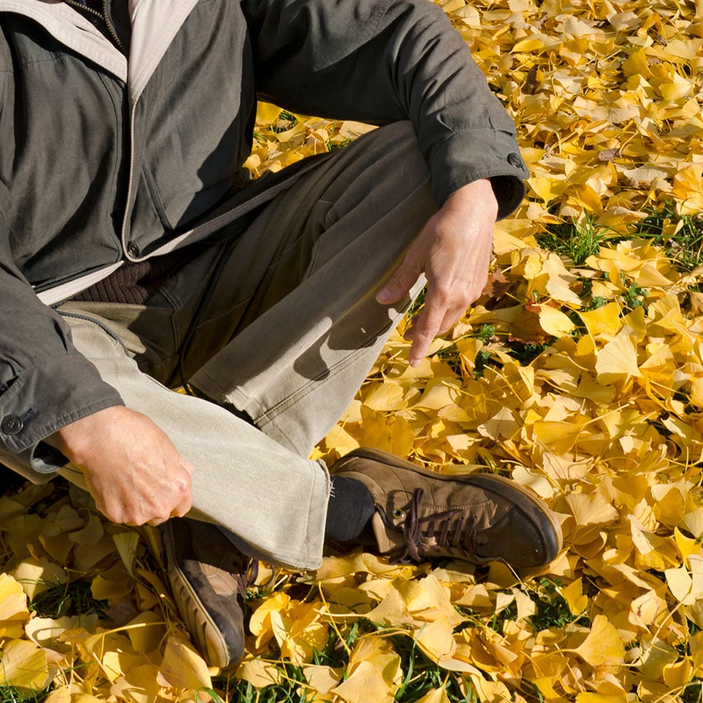 Top Health Benefits of Ginkgo Biloba | Ro