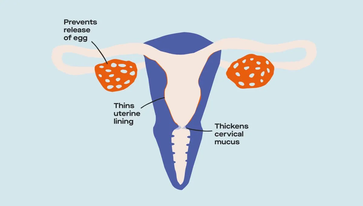 How Does Birth Control Impact Ovulation and Conception? | Ro