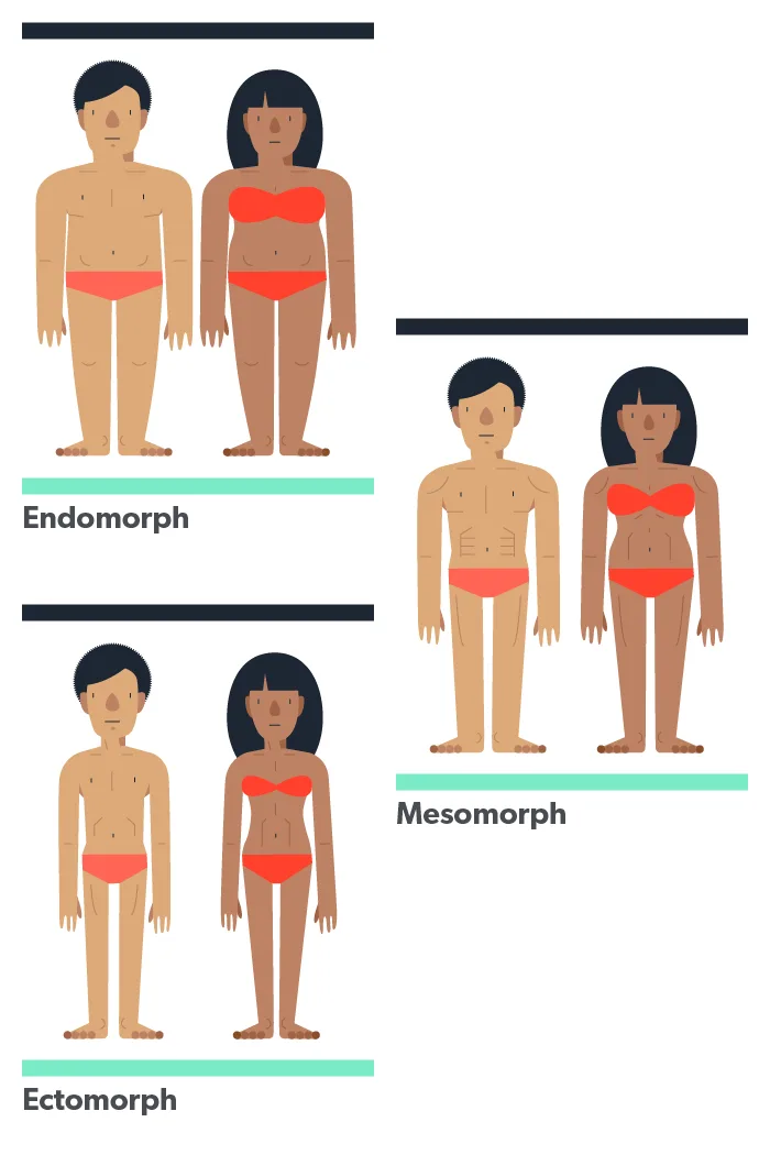 endomorph nhs