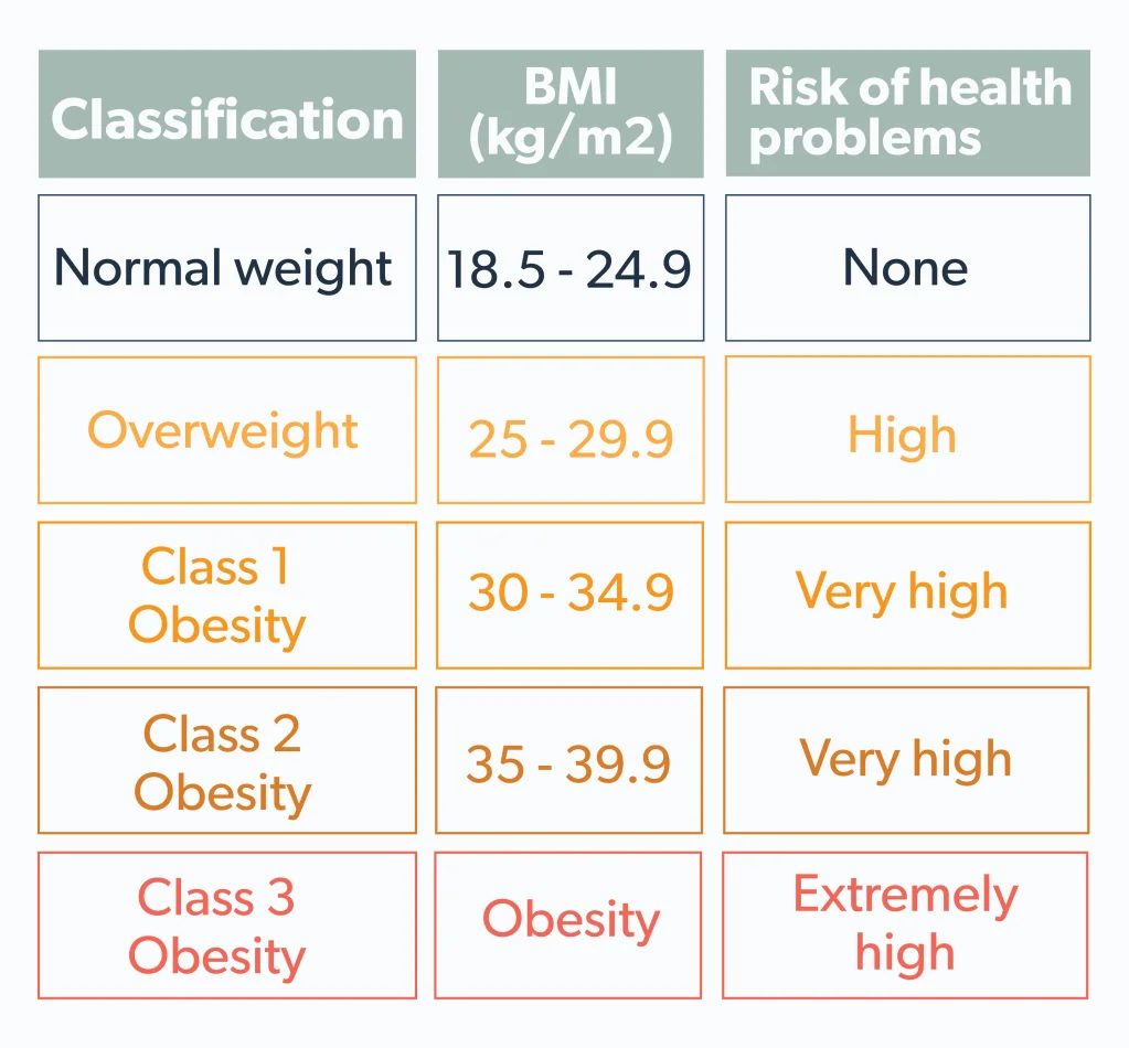 Body Mass Index (BMI): What This Number Means | Ro