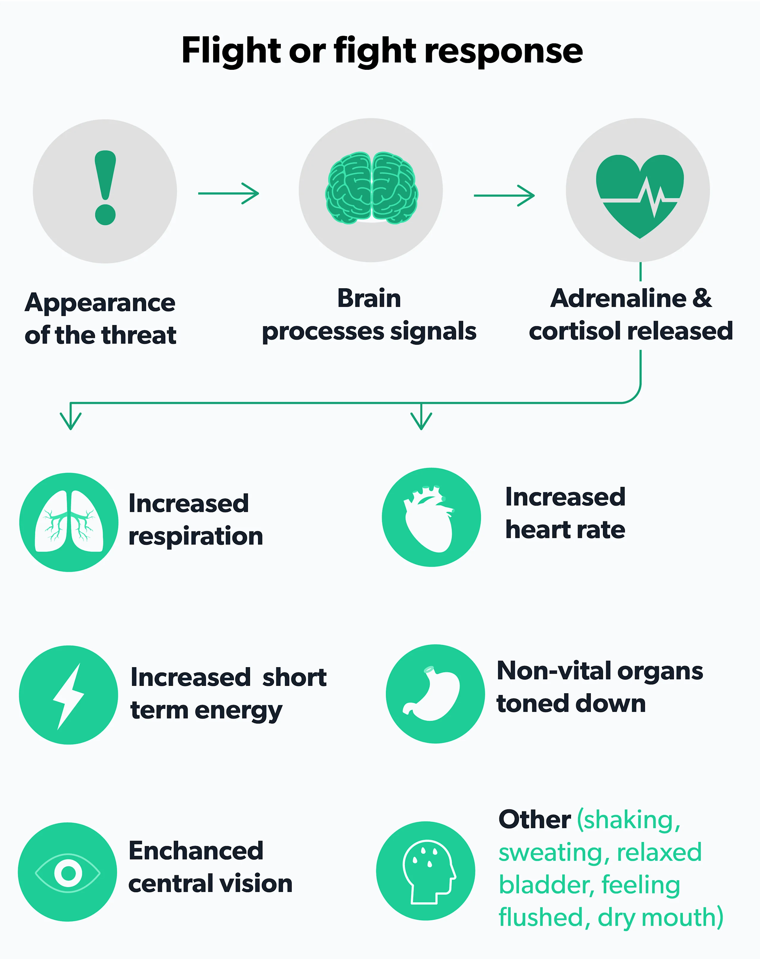 fight or flight response example