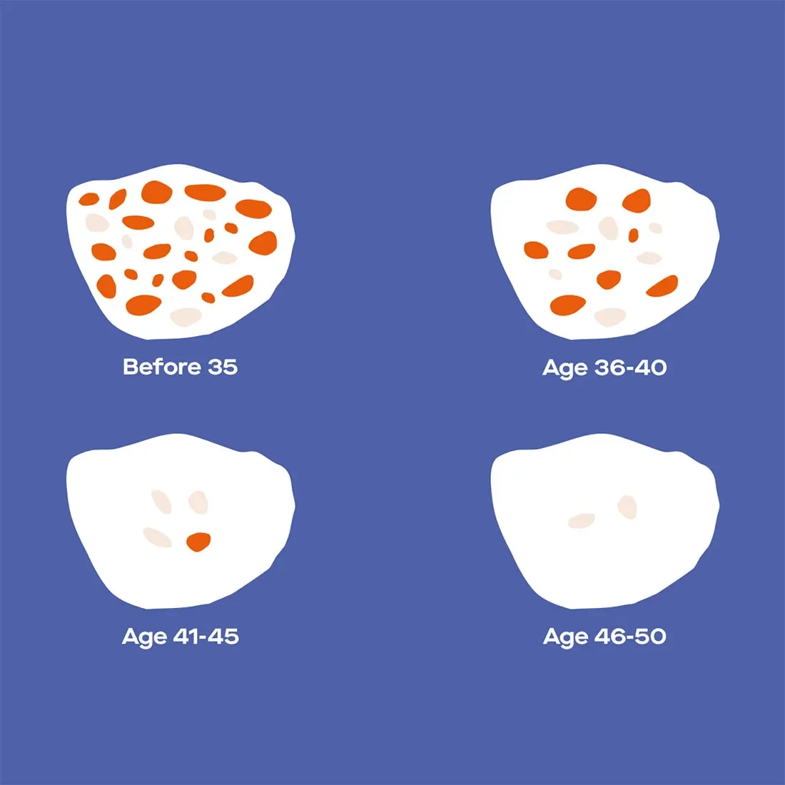 Fsh Hormone Levels Charts And Fertility Implications Ro 1882