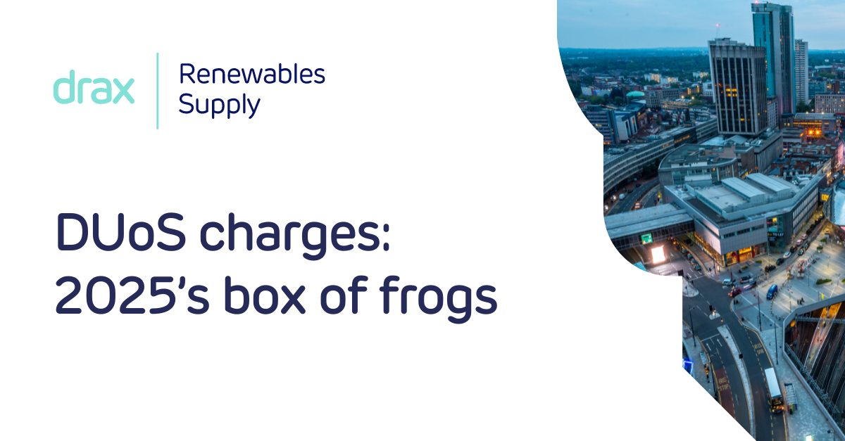 DUoS charges: 2025’s box of frogs | Drax